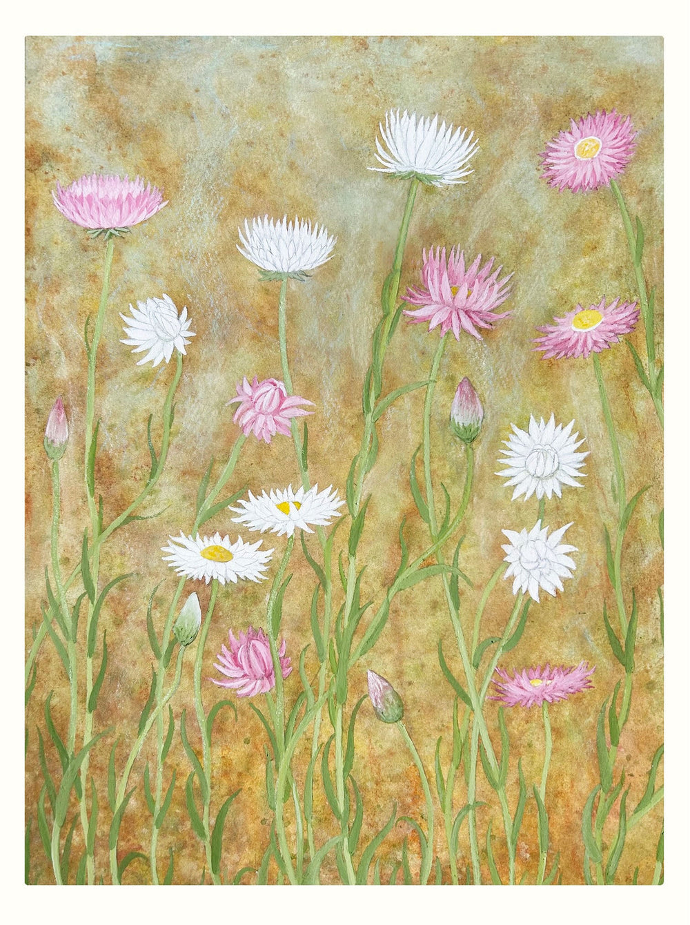 Joseph Austin Artist