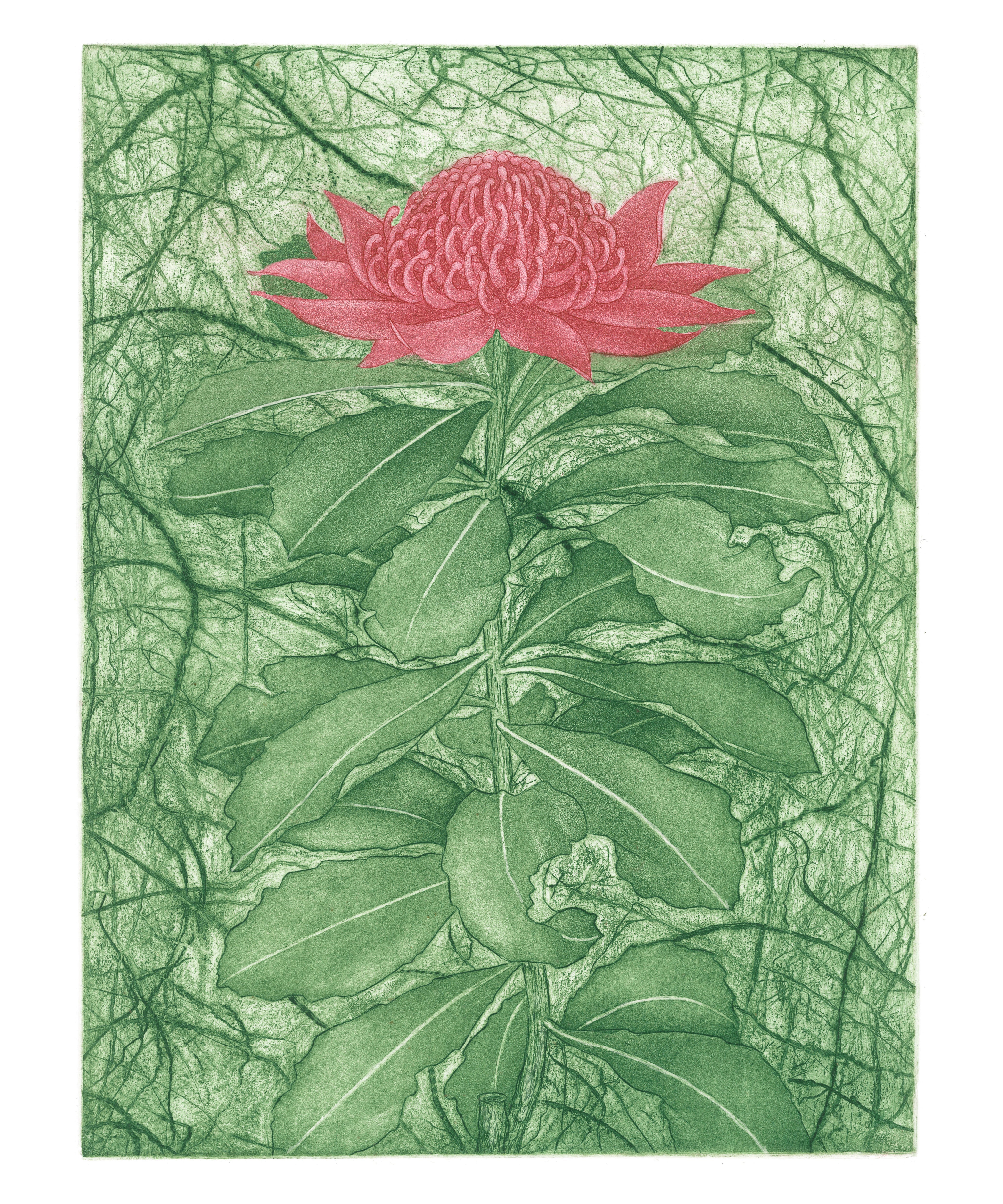 Etchings – Joseph Austin Artist