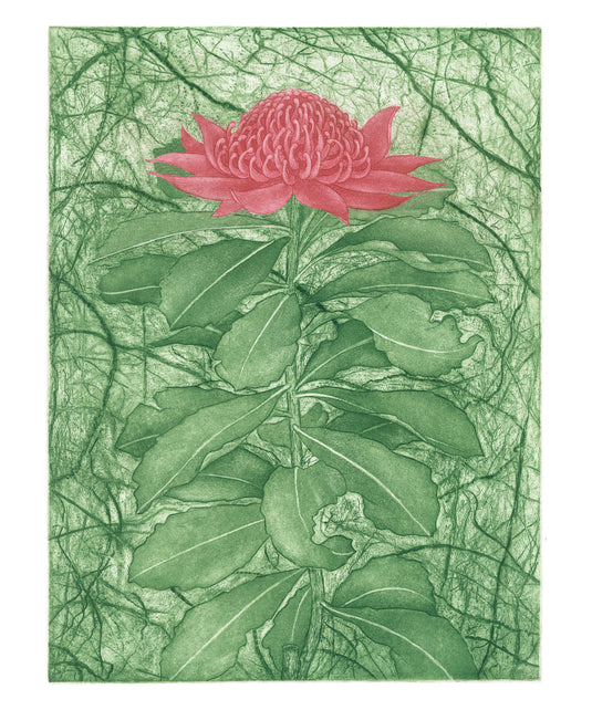 Joseph Austin Artist