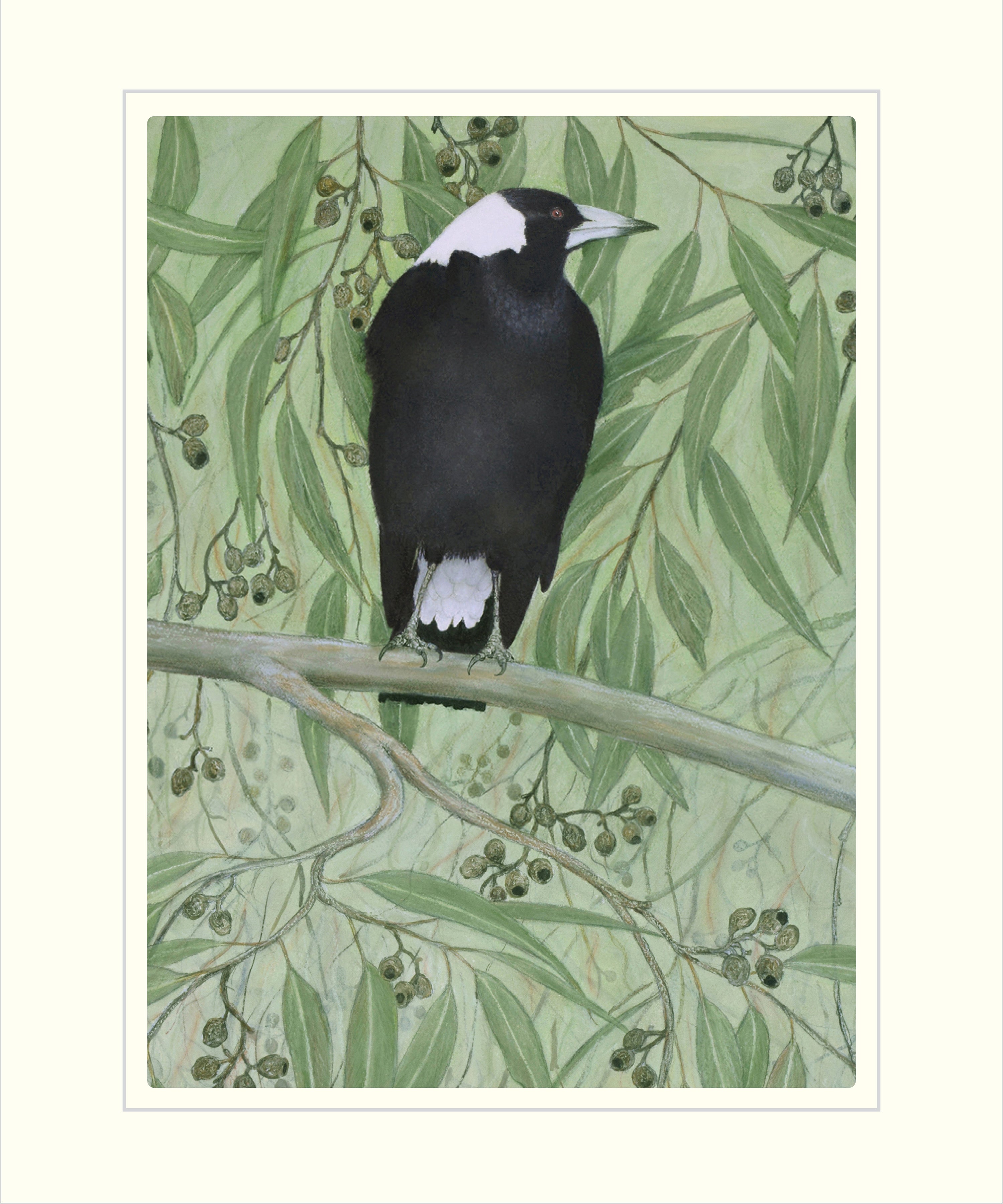 Big Magpie – Joseph Austin Artist