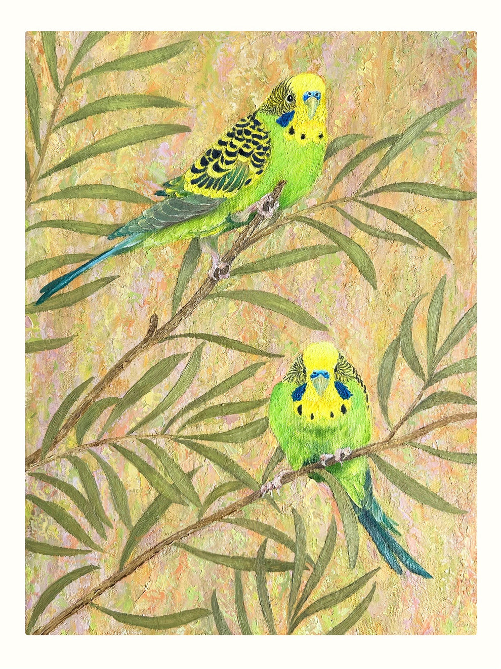 Australian Budgie (Copy) – Joseph Austin Artist