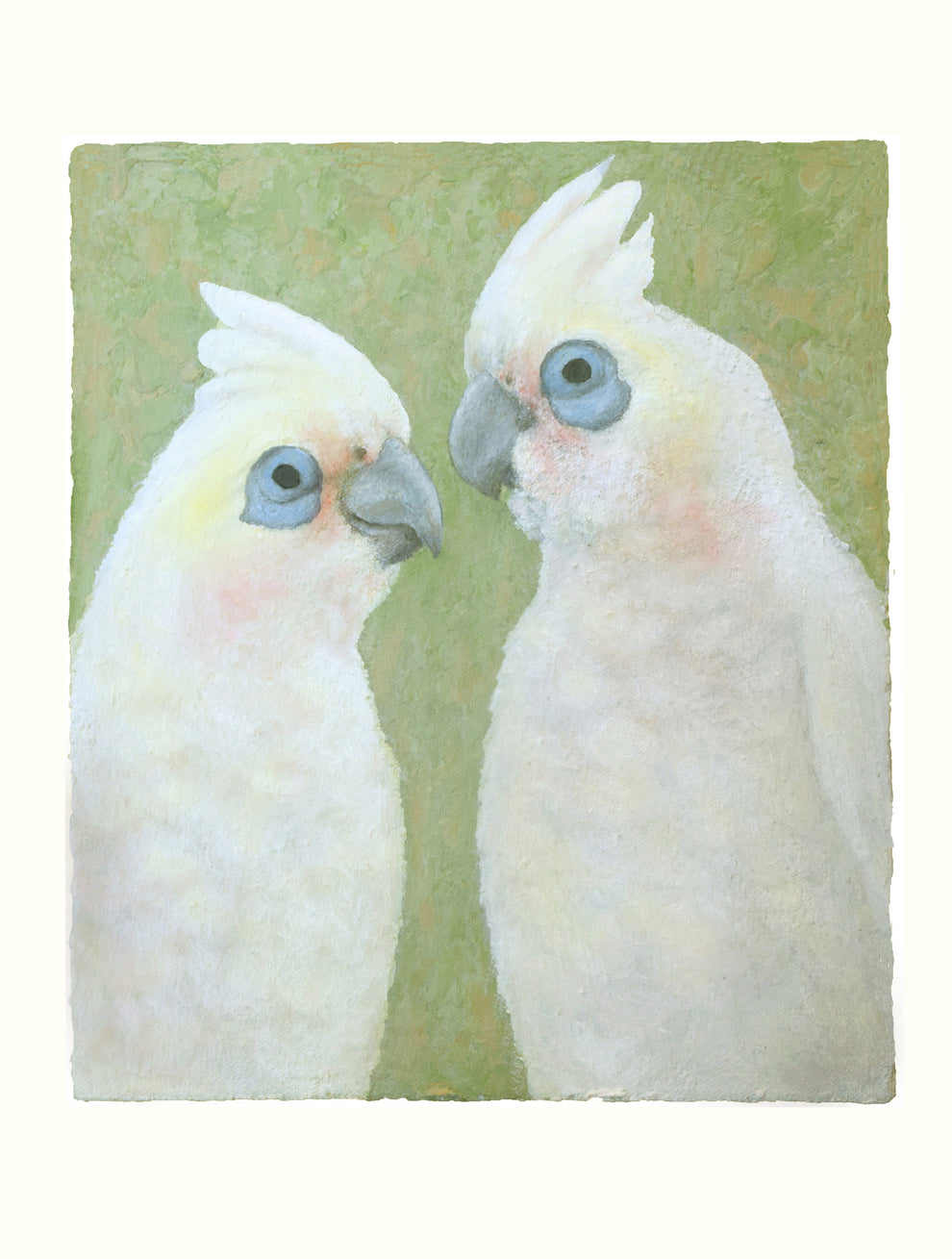 Corellas – Joseph Austin Artist