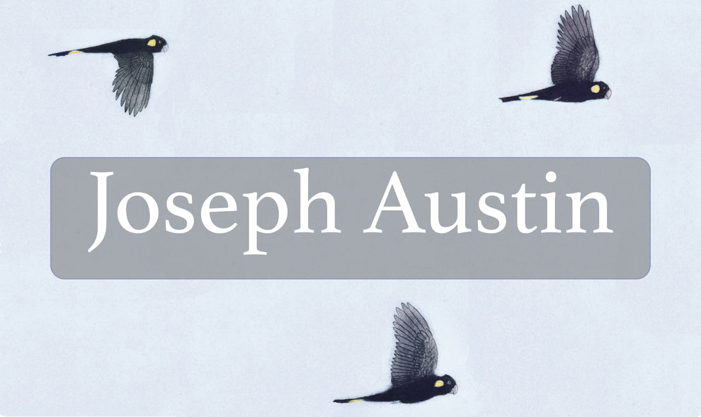 Banner – Joseph Austin Artist
