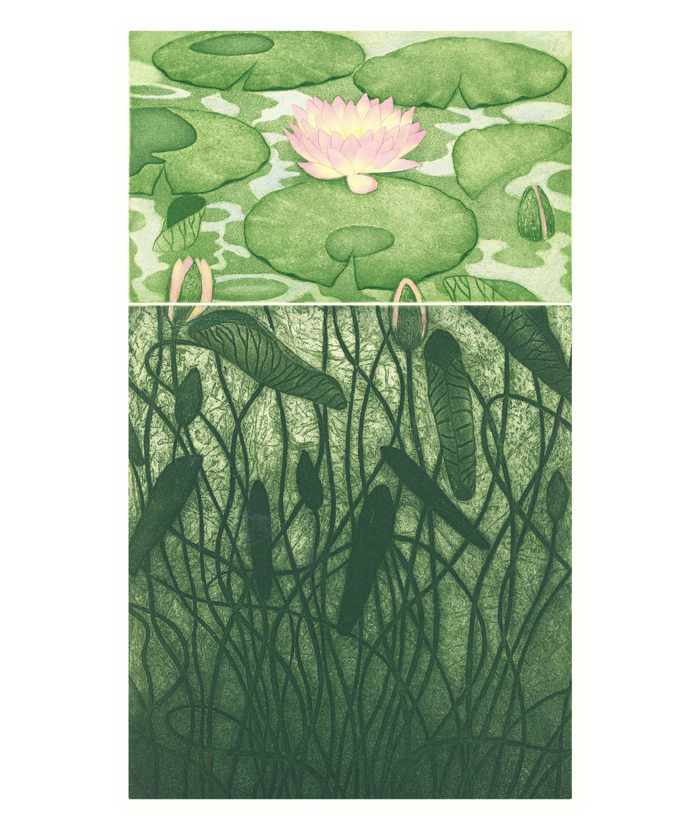 Nymphaea – Joseph Austin Artist