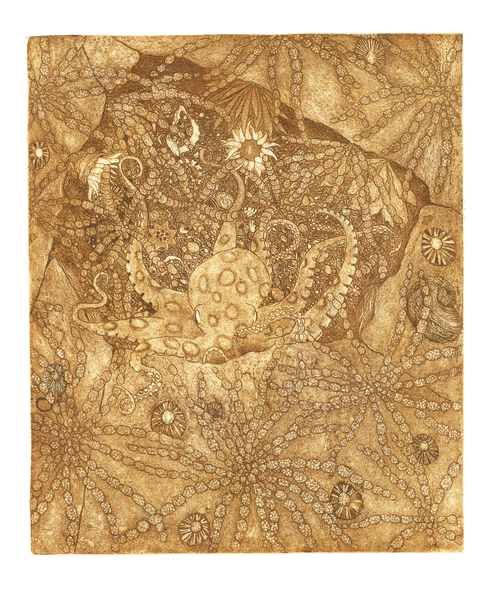 Octopus and rock pool – Joseph Austin Artist