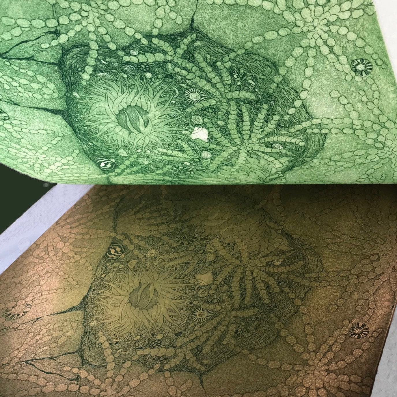 Joseph Austin Artist